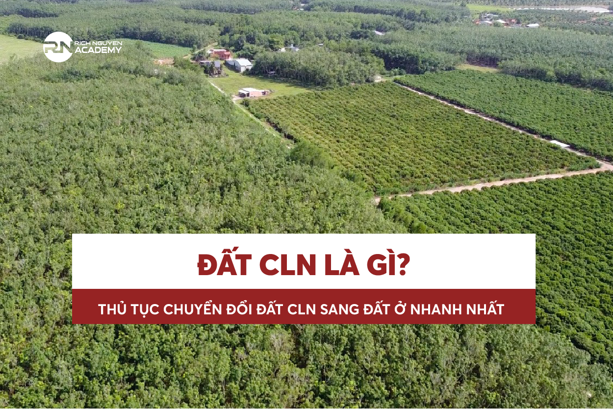 Đất CLN là gì? Thủ tục chuyển đổi đất CLN sang đất ở nhanh nhất